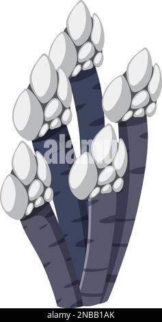 Barnacles isolated rocky shore animal illustration Stock Vector Image ...