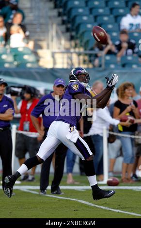 Baltimore Ravens wide receiver LaQuan Williams during NFL football ...