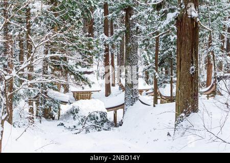 Dewa Sanzan - Hagurosan(Mt.Haguro) shrines & temples, Haguroyama ...