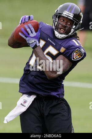 Baltimore Ravens wide receiver LaQuan Williams during NFL football ...