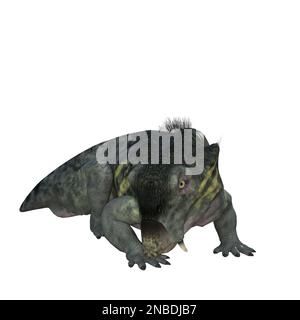 Lystrosaurus from the Permian era 3D illustration Stock Photo - Alamy