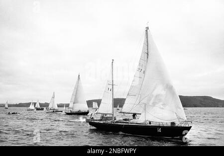 The Single-handed Trans-Atlantic Race was conceived by Herbert "Blondie ...