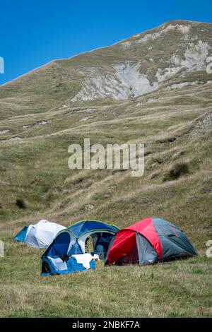 Camping in field below steep hills, Pourerere Beach, Central Hawkes Bay ...