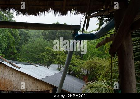 Rain water is collected and stored at the Marine Conservation Cambodia ...