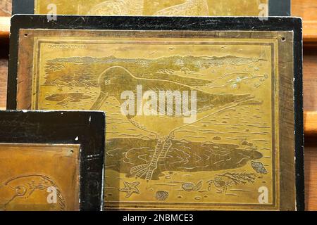 Lithograph wildlife printing plates Stock Photo - Alamy
