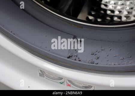 Dirty moldy washing machine sealing rubber and drum close up. Mold ...