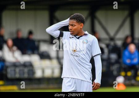 Swansea, Wales. 11 February 2023. Taylan Harris of Reading holds off ...