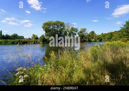 Landscape at the Fulda. Nature by the river Stock Photo - Alamy