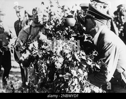 German Chancellor Adolf Hitler (right) and his staff celebrate France's ...