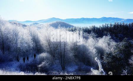 Spectacular view at Max Patch, North Carolina and Tennessee. Asheville ...