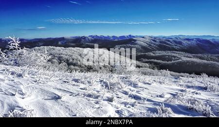 Spectacular view at Max Patch, North Carolina and Tennessee. Asheville ...
