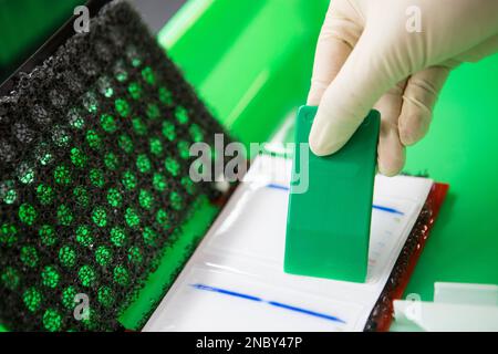Western blot analysis use as protein analysis for protein detection ...