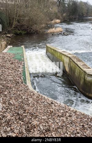 A Fish Pass at the side of the River Aire in Saltaire, Yorkshire ...