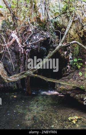 Natural grotto of the Baths of Aphrodite Botanical Garden in Akamas ...