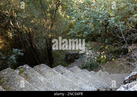 High, winding, stone steps in the forest in the breaking rays of the ...