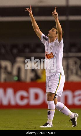 Brazil's Elano celebrates scoring the 2-0 during the 2010 FIFA World ...