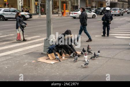 Homeless individual feeds pigeons in Midtown Manhattan in New York on ...