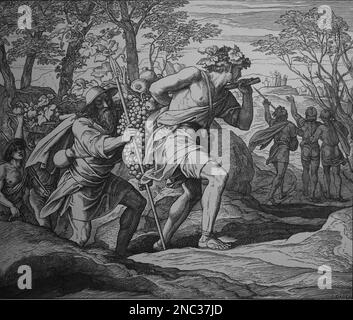 Old Testament. Exodus. Moses Spies are sent into Canaan. Engraving ...