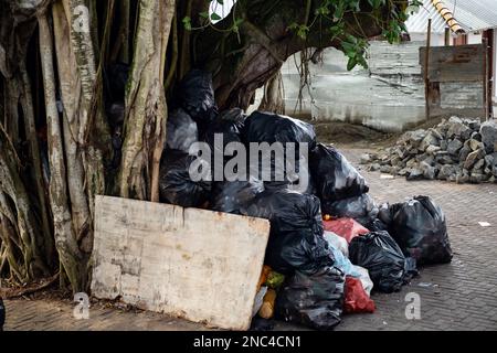 Trash inside huge tree. Garbage pile. Environmental pollution concept ...