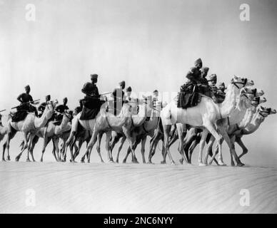 Mechanized section of the Egyptian Camel Corps which supported British ...