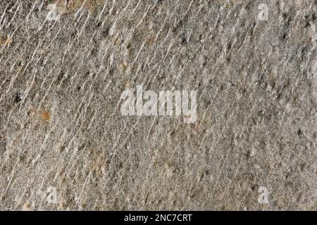 Samples of gray stone with a wavy pattern for the interior. Texture of ...