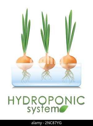 Modern Organic Farm Agricultural Logo Design with Green Leaf Sun Circle ...