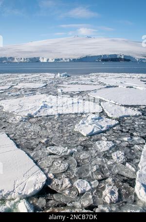 Antarctica, Ross Sea, Ross Island. Pancake ice Stock Photo - Alamy