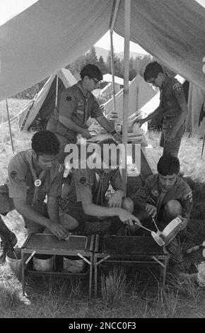 Buffalo, New York,scouts of Troop 40 at the 7th National Boy Scout ...