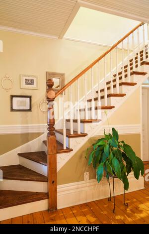Pinewood staircase with white painted balusters and stained oak wood ...