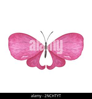 Set Magenta pink color butterfly with detailed wings isolated on white ...