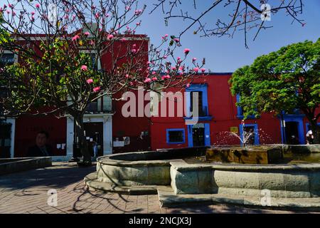 Jardín Labastida, Parque Labastida, Oaxaca de Juárez City, Oaxaca ...
