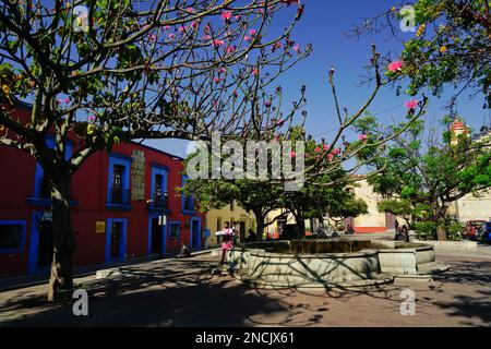 Jardín Labastida, Parque Labastida, Oaxaca de Juárez City, Oaxaca ...