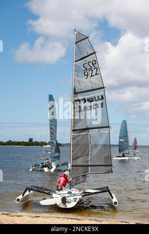 Weta boats in the water getting ready for the race, Australian Weta ...