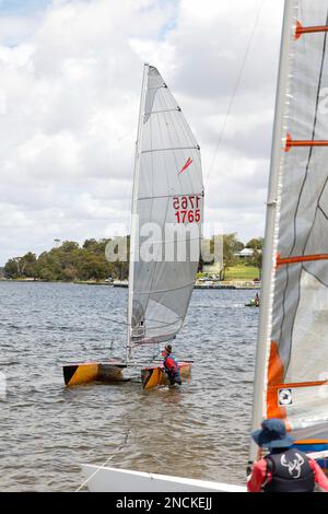 Weta boats in the water getting ready for the race, Australian Weta ...