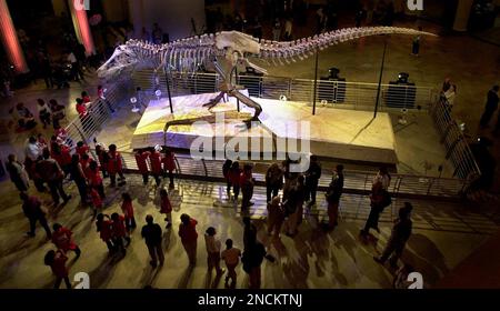 The T Rex Sue, the most complete Tyrannosaurus Rex to be discovered ...