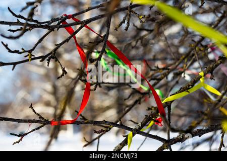 Colored wish ribbons tied on the branches of a tree close up Stock ...