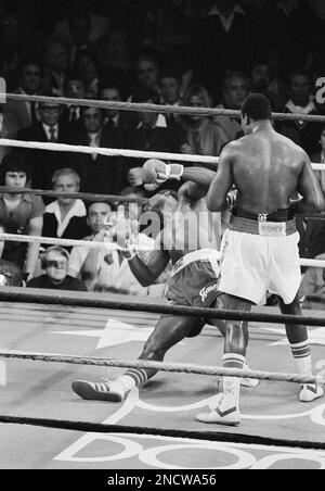 March 23, 1979, Larry Holmes, right, follows through after connecting ...