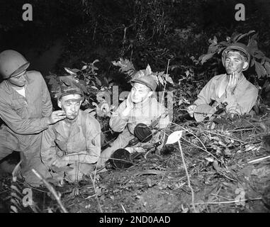 U.S. “Bushmaster” troops of the Caribbean Defense Command, expert ...