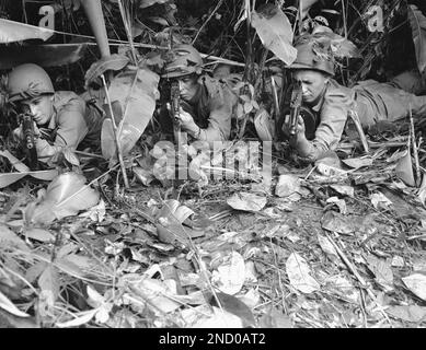 U.S. “Bushmaster” troops of the Caribbean Defense Command, expert ...