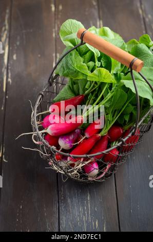 Fresh radishes on old dark wooden table Stock Photo - Alamy