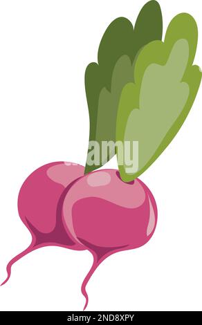long radish icon color illustration Stock Vector Image & Art - Alamy