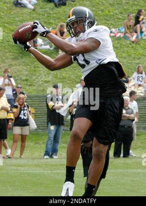 Pittsburgh Steelers wide receiver Arnaz Battle (81) makes a catch ...