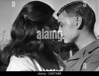 THE VIRGIN SOLDIERS HYWEL BENNETT A COLUMBIA FILM THE VIRGIN SOLDIERS ...