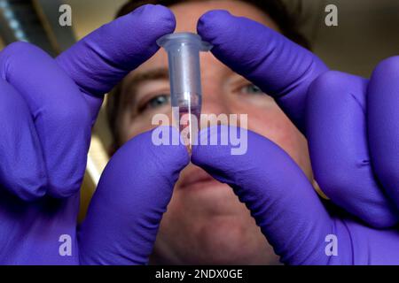 Dr. John Chute, Associate Professor of Medicine Division of Cellular ...