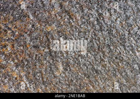 Samples of gray stone with a wavy pattern for the interior. Texture of ...
