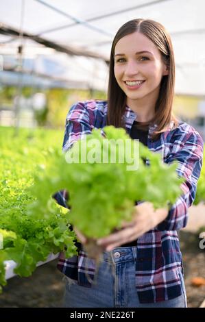 Smiling girl gardener harvesting lettuce on field Stock Photo - Alamy