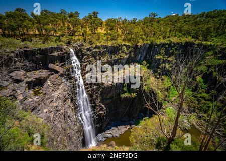 Apsley falls waterfall in Oxley Wild Rivers national park, near Walcha ...