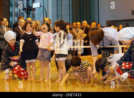 Tokyo (Japan) : Pasona Group Headquarters: The Urban Farm Pasona Stock ...