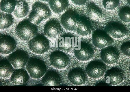 A Alien trypophobia holes in a shiny sci-fi close up background Stock ...
