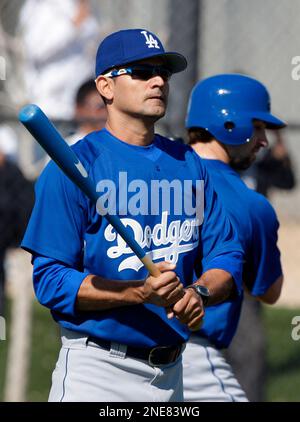 Los Angeles Dodgers' Jason Repko is hit on the elbow by a pitch from ...